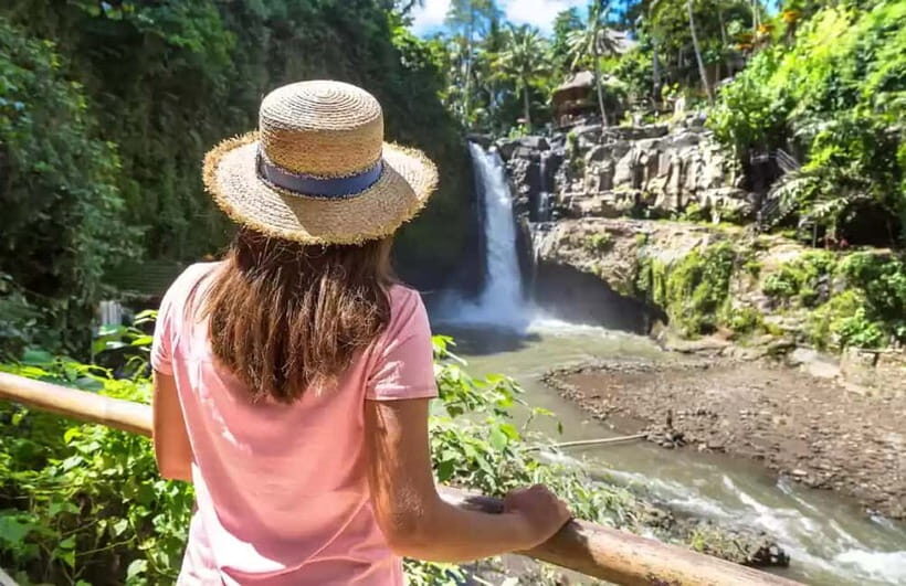 Bali Best Waterfalls Private Tour - Summary and Who Should Book This Tour