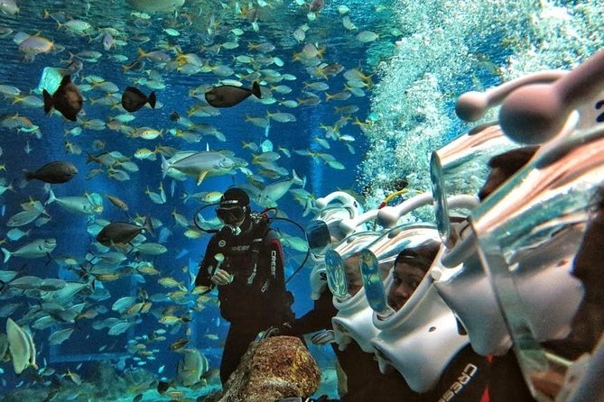 Bali Best Watersport Sea walker,Parasailing adventure,Jet sky - What’s Included and What’s Not