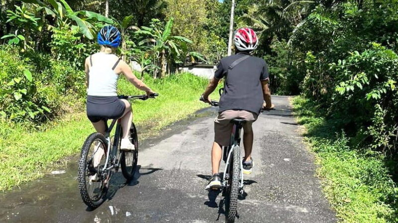 Bali Bike Adventures: The Ultimate Cycling Through Paradise - The Experience: What Will You Encounter?