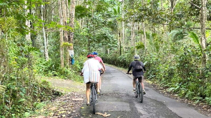 Bali Bike Adventures: The Ultimate Cycling Through Paradise - Practicalities and Tips