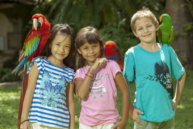 Bali Bird Park: 1-Day Admission Ticket - Practical Tips for Visiting