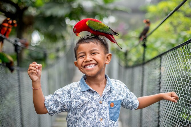 Bali Bird Park Admission Ticket - The Itinerary Breakdown