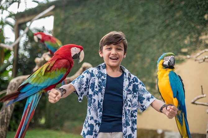 Bali Bird Park Admission Ticket - Practical Tips for Visiting