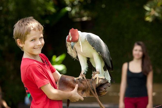 Bali Bird Park Admission Ticket with Hotel Transfer - The Convenience of Private Transfers