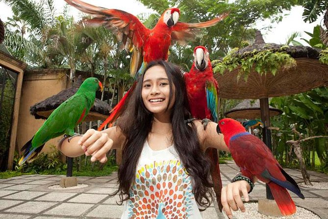 Bali Bird Park Admission Ticket with Hotel Transfer - The Variety of Birds and Educational Opportunities