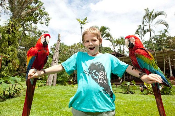 Bali Bird Park Admission Ticket with Hotel Transfer - What Do the Reviews Say?
