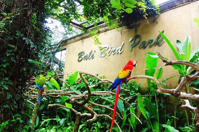 Bali Bird Park Entrance Tickets - The Itinerary: What’s Included?