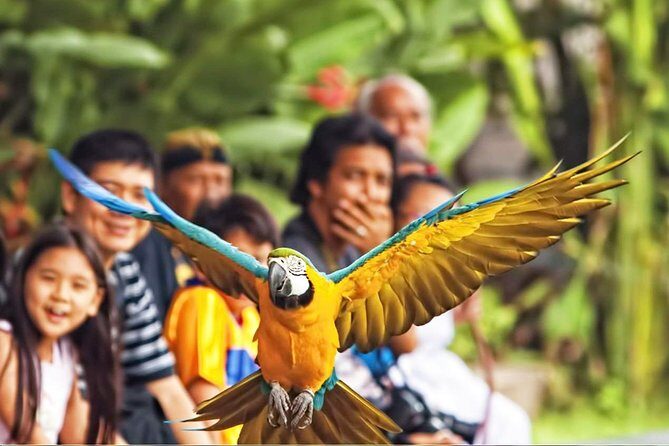 Bali Bird Park Entrance Tickets - Practical Tips for Visiting
