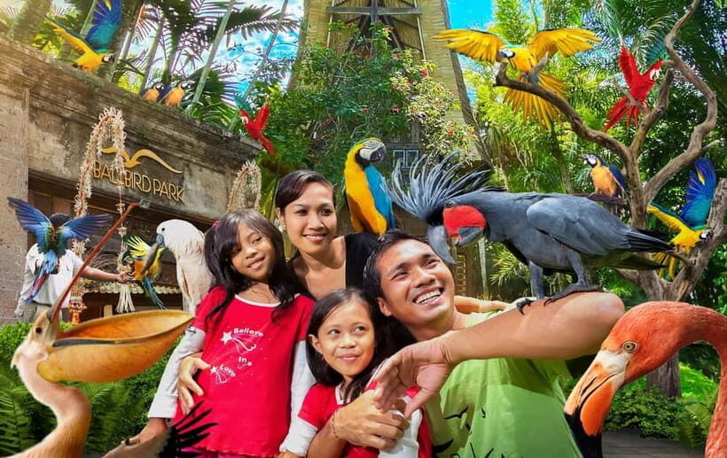 Bali Bird Park & Pirate Dinner Cruise the Unique Adventure - Key Points