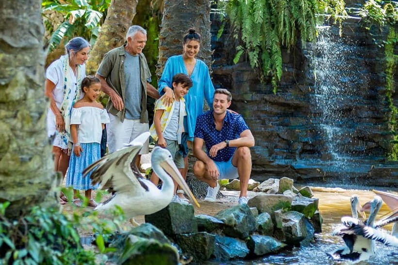 Bali Bird Park & Pirate Dinner Cruise the Unique Adventure - The Sum Up: Is This Tour Worth Your Time?