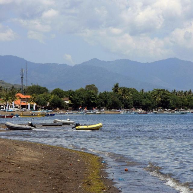 Bali Bliss: Dolphin Lovina Private Expedition - Introduction: A Unique Chance to See Dolphins in Bali