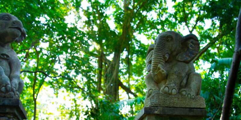 Bali Bliss: Tropical Escape & Cultural Wonders Tour - Key Points