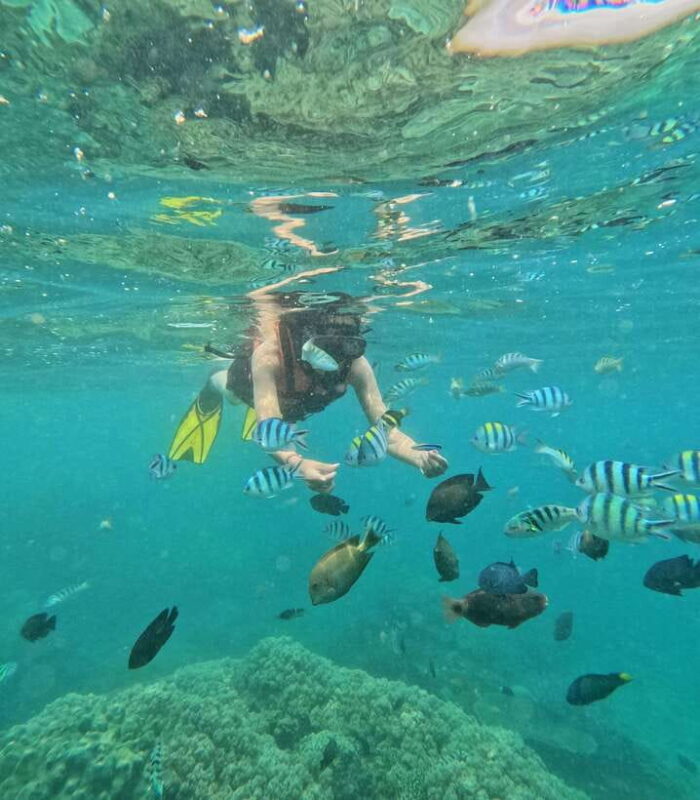 Bali: Blue Lagoon and Tanjung Jepun Snorkeling Tour - What To Expect During Your Snorkeling Experience