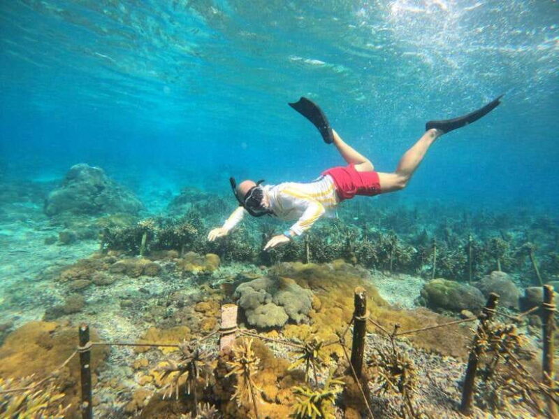 Bali: Blue Lagoon and Tanjung Jepun Snorkeling Tour - Final thoughts