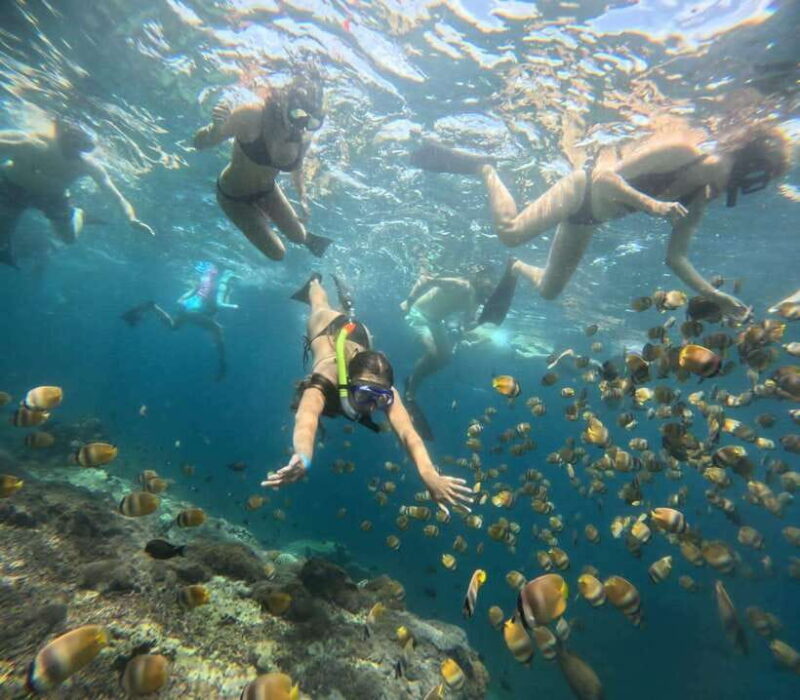 Bali: Blue Lagoon and Tanjung Jepun Snorkeling Tour with - What to Expect on Your Snorkeling Day