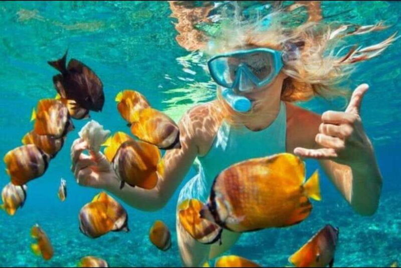 Bali: Blue Lagoon and Tanjung Jepun Snorkeling Trip - What’s Included and What’s Not