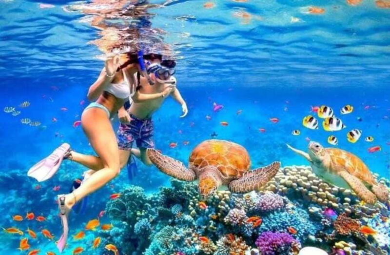 Bali: Blue Lagoon and Tanjung Jepun Snorkeling Trip - Who Will Love This Tour?