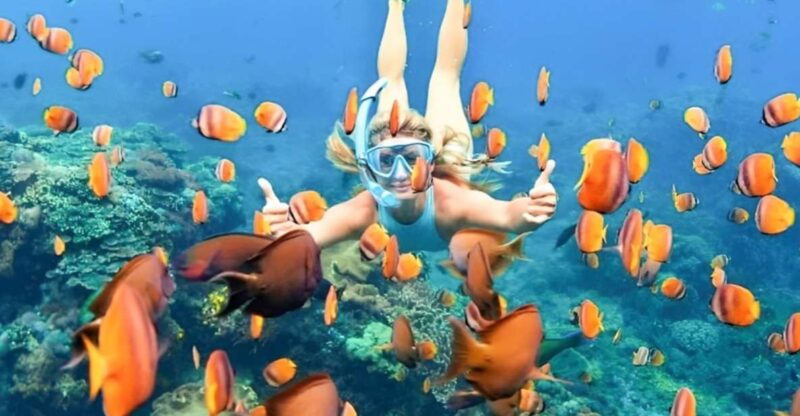 Bali: Blue Lagoon Beach Snorkeling Tour with Lunch - Who is This Tour Best For?