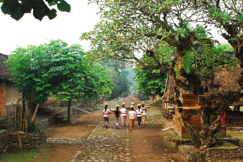 Bali: Blue Lagoon Snorkel & Tenganan Village Trip with Lunch - An In-Depth Look at the Tour Experience