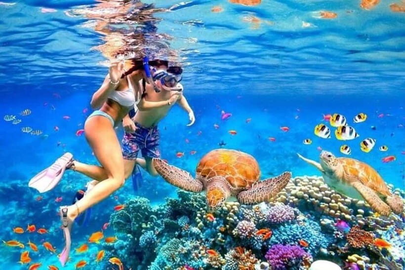 Bali: Blue Lagoon Snorkel & Tenganan Village Trip with Lunch - Practical Tips for Travelers