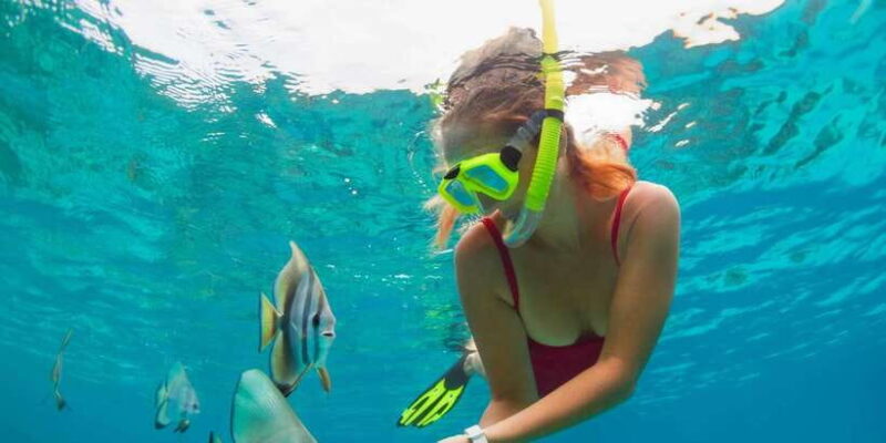 Bali: Blue Lagoon Snorkeling and Tanjung Jepun Private Tour - Key Points