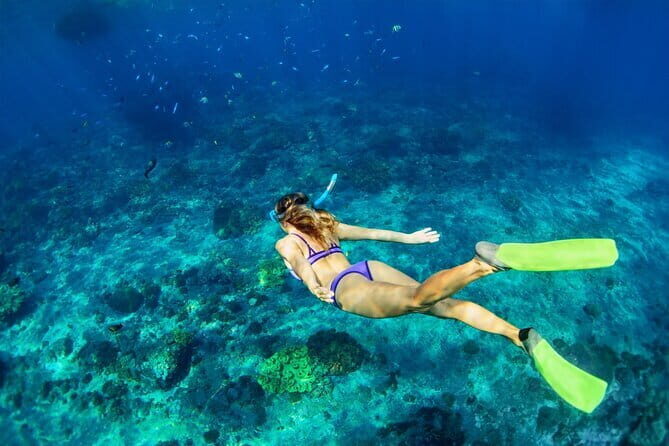 Bali Blue Lagoon Snorkeling and Waterfall Day Tour with Lunch - Authentic Experiences and Authentic Bali
