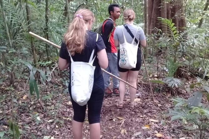 Bali Blue Lagoon Snorkeling and Waterfall Day Tour with Lunch - Final Thoughts: Is It Worth It?