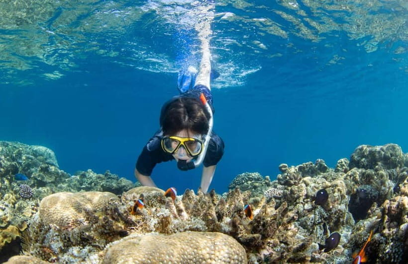 Bali Blue Lagoon Snorkeling and Waterfall Tour - Key Points