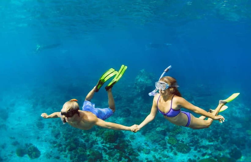 Bali Blue Lagoon Snorkeling and Waterfall Tour - Discovering Bali’s Underwater Paradise
