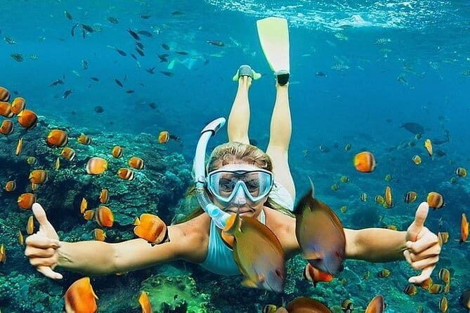 Bali : Blue Lagoon Snorkeling combine with Bali Swing in Ubud - Who Will Love This Tour?