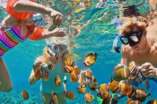 Bali : Blue Lagoon Snorkeling combine with Bali Swing in Ubud - The Sum Up
