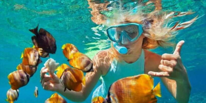 Bali: Blue Lagoon Snorkeling Inclusive of Lunch & Transport - Key Points