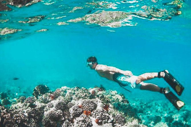 Bali Blue Lagoon Snorkeling - Lunch and Transport All Inclusive - Final Thoughts