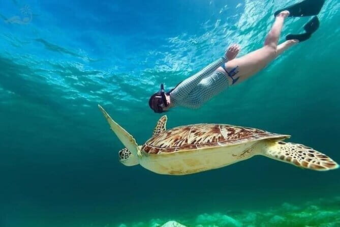 Bali Blue Lagoon Snorkeling Tour - An In-Depth Look at the Bali Blue Lagoon Snorkeling Tour
