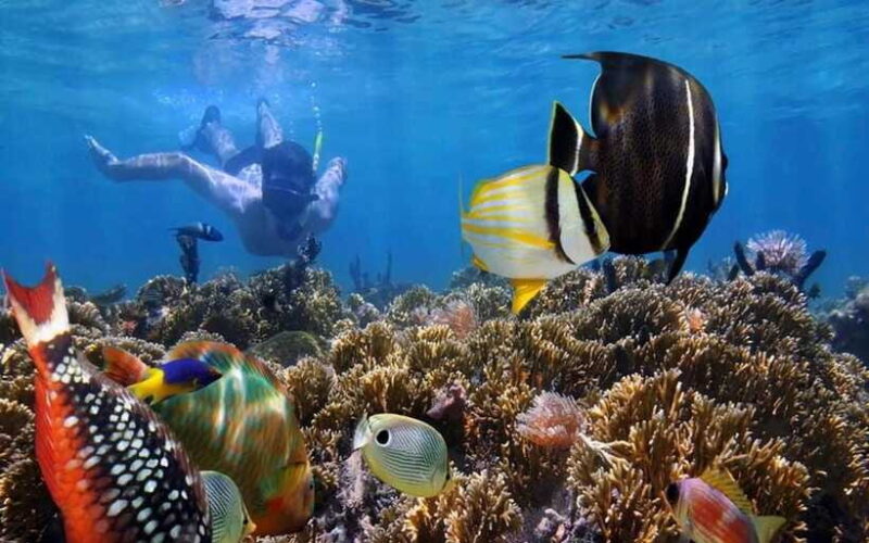 Bali Blue Lagoon Snorkeling Tour - Who Will Love This Tour?