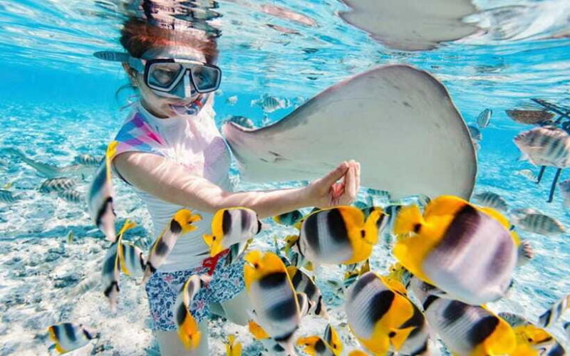 Bali Blue Lagoon Snorkeling Tour - Practical Tips for Your Trip