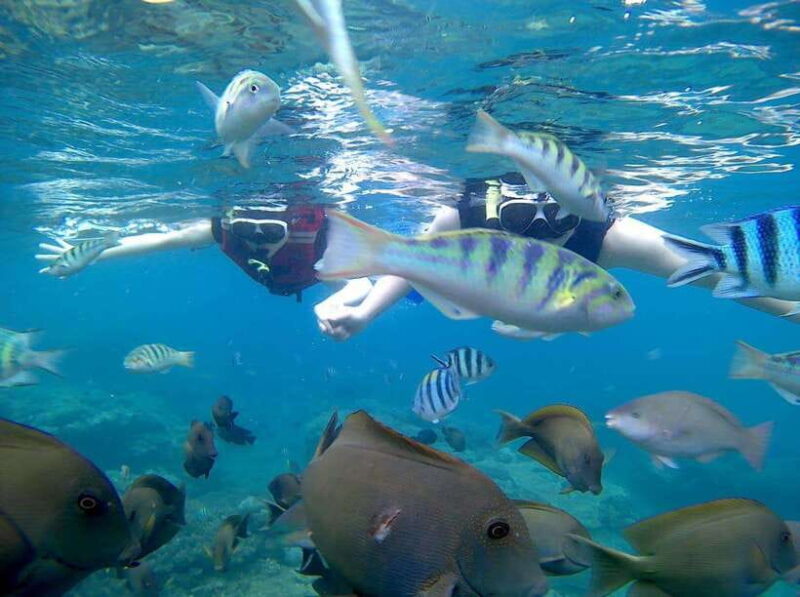 Bali: Blue Lagoon Snorkeling & Waterfall Tour - What to Expect: The Practical Details