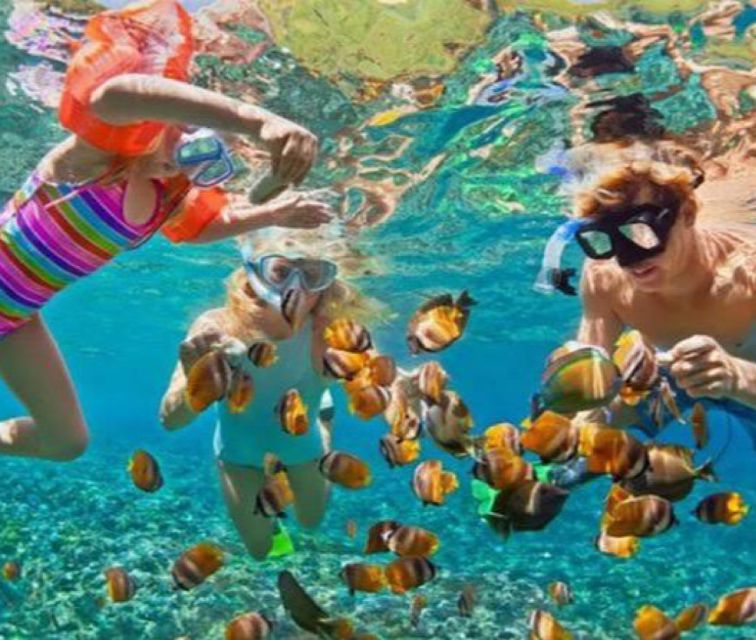 Bali: Blue Lagoon Snorkeling & Waterfall Tour with Lunch - Detailed Breakdown of the Experience