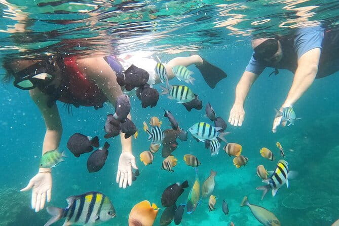 Bali Blue Lagoon Snorkeling with Waterfalls Tour - all included - Summary: Who Should Consider This Tour?