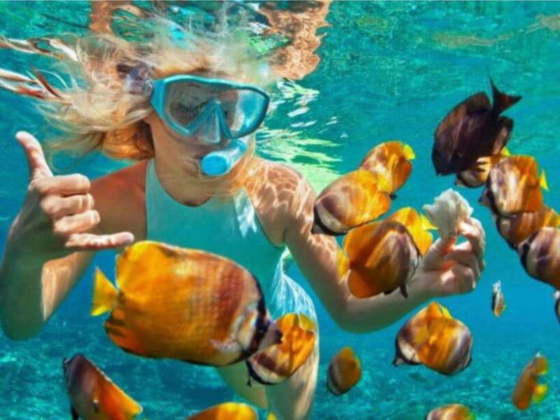 Bali: Blue Lagoon & Tanjung Jepun Snorkeling & lunch - Key Points