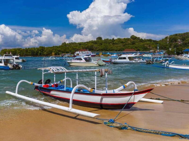 Bali: Blue Lagoon & Tanjung Jepun Snorkeling & lunch - Practical Details & Value