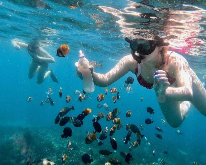 Bali: Blue Lagoon & Tanjung Jepun Snorkeling & lunch - Final Thoughts: Is It Worth It?