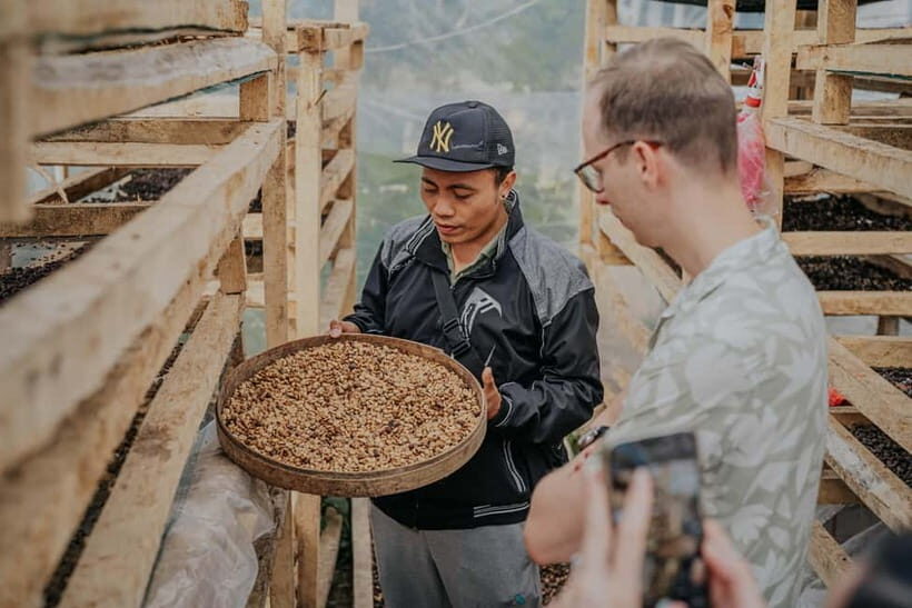 Bali: Botanical Garden, Strawberry Farm & Coffee Tour - Exploring Bali’s High Grounds: What the Tour Offers
