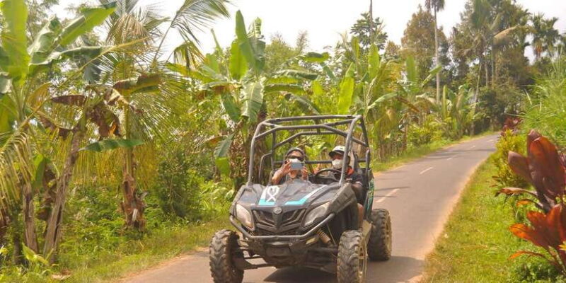 Bali Buggy Discovery Tours - Key Points