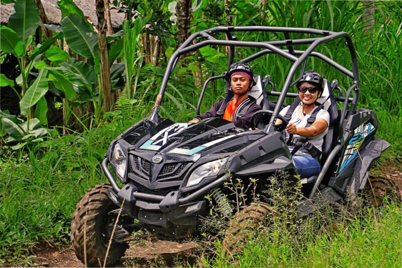 Bali Buggy Discovery Tours - The Sum Up