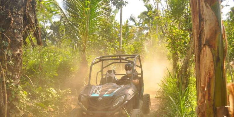 Bali Buggy Discovery Tours Tandem Adult - Value and Practical Details