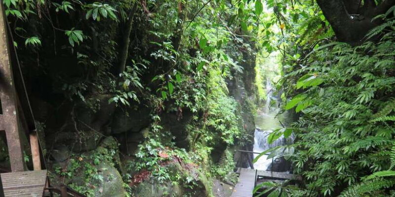 Bali: Canyon Tubing Adventure - Key Points
