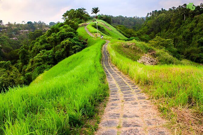 Bali Car-Charter: Half Day Ubud Village Tour - Authentic Experiences and Authentic Challenges