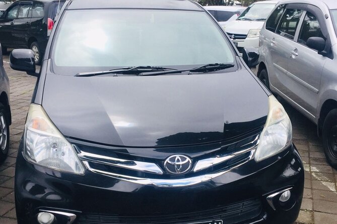 Bali Car Hire with Driver - Authenticity and Real Traveler Experiences