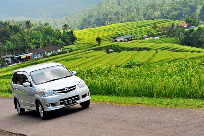 Bali Car Hire with Driver - Is This Tour Right for You?
